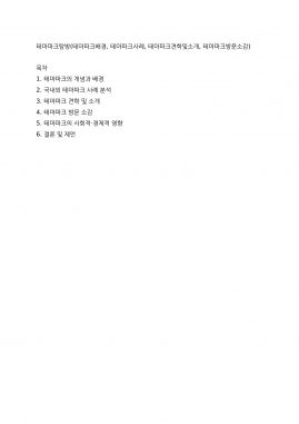 테마파크탐방(테마파크배경, 테마파크사례, 테마파크견학및소개, 테마파크방문소감)-1페이지