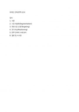 마케틴 전략(STP) 분석-1페이지