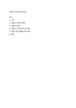 저출산의 원인과 대책 과제-1페이지