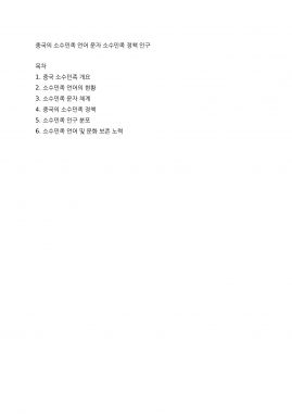 중국의 소수민족 언어 문자 소수민족 정책 인구-1페이지