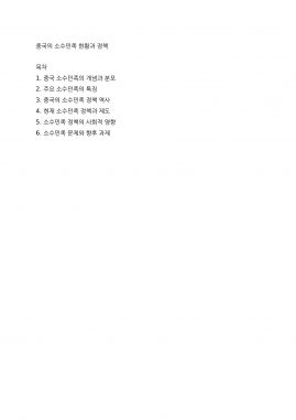 중국의 소수민족 현황과 정책-1페이지