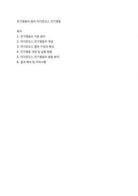 전기영동의 원리 아가로오스 전기영동-1페이지