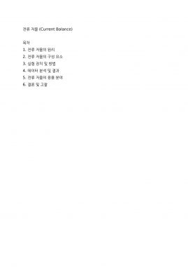 전류 저울 (Current Balance)-1페이지