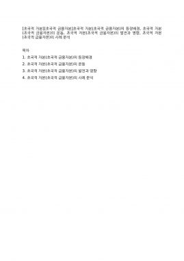 [초국적 자본][초국적 금융자본]초국적 자본(초국적 금융자본)의 등장배경, 초국적 자본(초국적 금융자본)의 운동, 초국적 자본(초국적 금융자본)의 발전과 영향, 초국적 자본(초국적 금융자본)의 사례 분석-1페이지