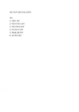 맥심 T.O.P 브랜드커뮤니션전략-1페이지