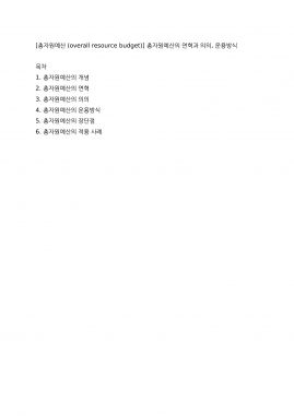 [총자원예산 (overall resource budget)] 총자원예산의 연혁과 의의, 운용방식-1페이지