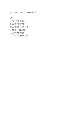 비잔틴 미술(5~10C) -도상圖像의 근원-1페이지