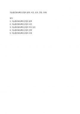 지능형로봇(URC)산업의 분류, 비전, 성과, 전망, 과제)-1페이지