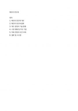 메모리 반도체-1페이지