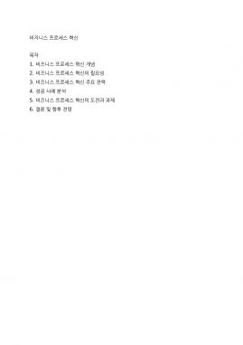 비지니스 프로세스 혁신-1페이지
