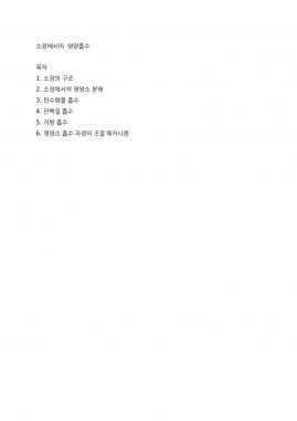 소장에서의  영양흡수-1페이지