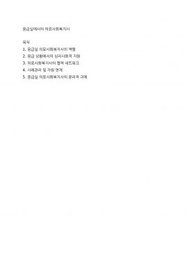 응급실에서의 의료사회복지사-1페이지