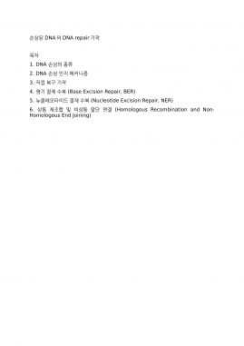 손상된 DNA의 DNA repair기작-1페이지