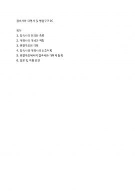 접속사와 대명사 및 병렬구조00-1페이지