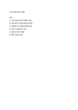 지속가능한 에너지개발-1페이지