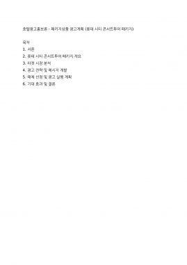 호텔광고홍보론 - 패키지상품 광고계획 (롯데 시티 콘서트투어 패키지)-1페이지