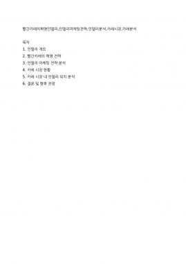 빨간카레의혁명인델리,인델리마케팅전략,인델리분석,카레시장,카레분석-1페이지