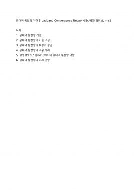 광대역 통합망 이란 Broadband Convergence Network[BcN][경영정보, mis]-1페이지