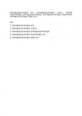 광케이블(광섬유케이블)의 정의, 광케이블(광섬유케이블)의 구성요소, 광케이블(광섬유케이블)과 광케이블(광섬유케이블)망, 광케이블(광섬유케이블)과 광섬유케이블, 광케이블(광섬유케이블)과 광통신 분석-1페이지