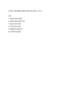 BURN CASE STUDY 화상 케이스 스터디-1페이지