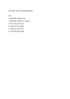 플렉서블디스플레이 (Flexible display)-1페이지