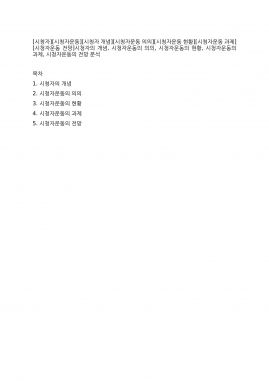 [시청자][시청자운동][시청자 개념][시청자운동 의의][시청자운동 현황][시청자운동 과제][시청자운동 전망]시청자의 개념, 시청자운동의 의의, 시청자운동의 현황, 시청자운동의 과제, 시청자운동의 전망 분석-1페이지