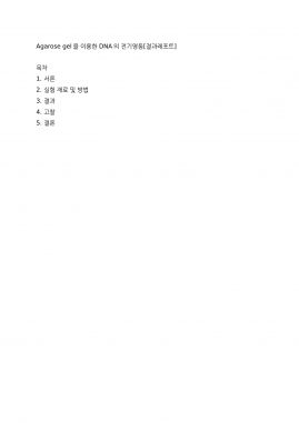 Agarose gel을 이용한 DNA의 전기영동[결과레포트]-1페이지