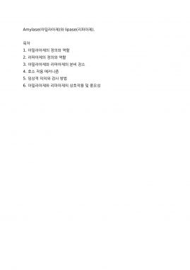 Amylase(아밀라아제)와 lipase(리파아제).-1페이지
