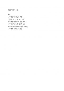 무선인터넷의 성장-1페이지