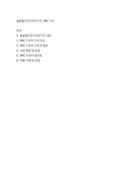 철골철근콘크리트구조_SRC구조-1페이지