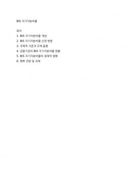 BIS 자기자본비율-1페이지