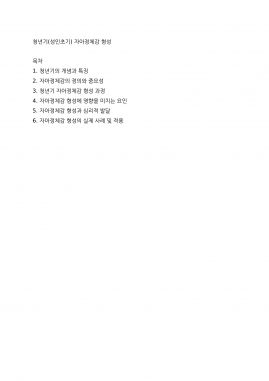 청년기(성인초기) 자아정체감 형성-1페이지