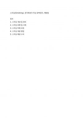 스미싱(Smishing), 문자메세지 피싱 완벽정리, 예방법-1페이지