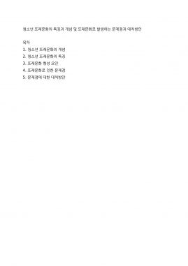 청소년 또래문화의 특징과 개념 및 또래문화로 발생하는 문제점과 대처방안-1페이지