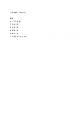 스카이락의 마케팅믹스-1페이지