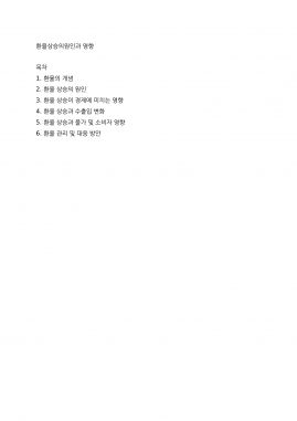환율상승의원인과 영향-1페이지