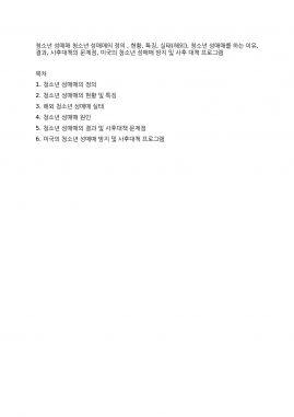 청소년 성매매 청소년 성매매의 정의 , 현황, 특징, 실태(해외), 청소년 성매매를 하는 이유, 결과, 사후대책의 문제점, 미국의 청소년 성매매 방지 및 사후 대책 프로그램-1페이지