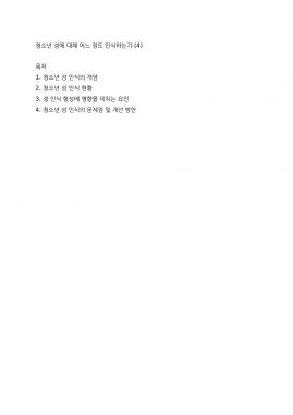 청소년 성에 대해 어느 정도 인식하는가 (4)-1페이지