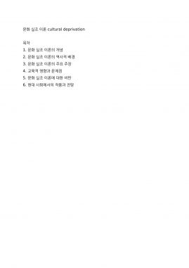 문화 실조 이론 cultural deprivation-1페이지