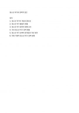 청소년 여가와 정책적 접근-1페이지