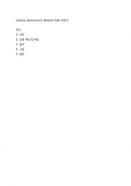 Cellular Senescence Western blot 레포트-1페이지