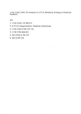 스타일 컨설팅 마케팅 전략 Analysis & S.T.P & Marketing Strategy & Predicted Problems-1페이지