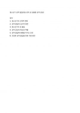 청소년기 성적 발달(청소년의 성 성충동 성적 공상)-1페이지