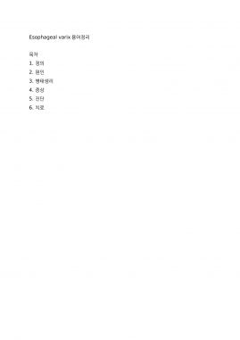Esophageal varix용어정리-1페이지