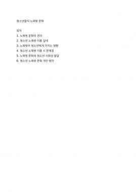 청소년들의 노래방 문화-1페이지