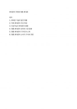 휴대폰의 미래와 명품 휴대폰-1페이지