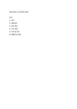 GB stone L-S (GS3)-2011-1페이지