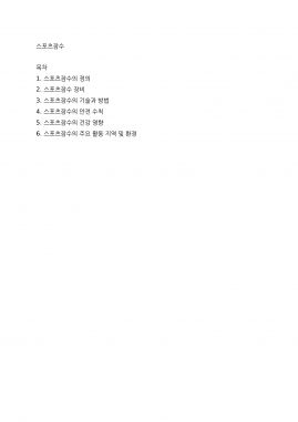 스포츠잠수 레포트 자료-1페이지