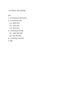 시니어인턴십- 효과 및 문제점-1페이지