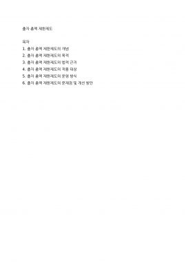 출자 총액 제한제도-1페이지